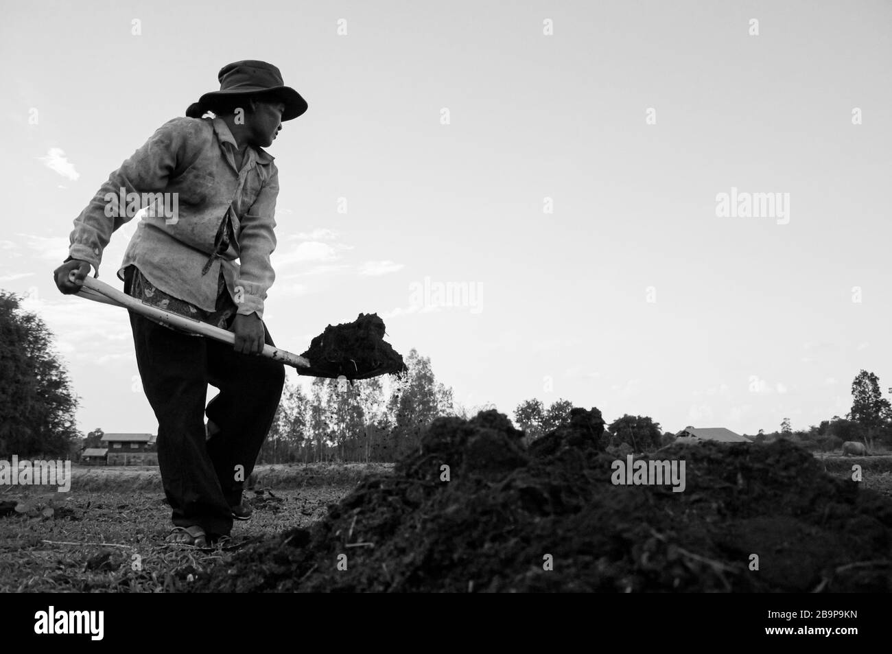 Tree Planting Asia Black and White Stock Photos & Images - Alamy