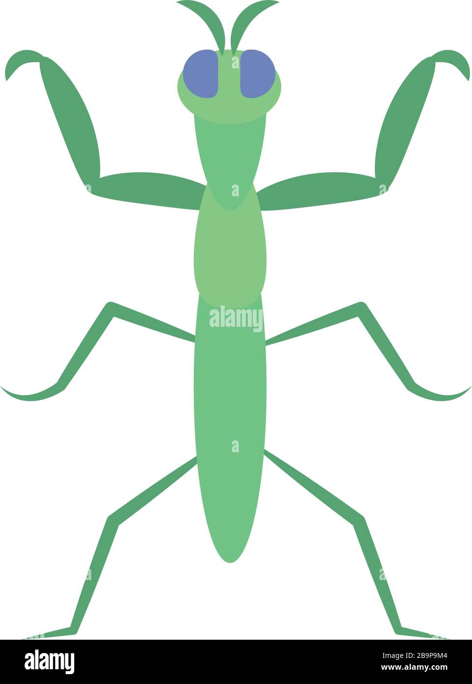 praying mantis insect icon over white background, flat style, vector illustration Stock Vector ...