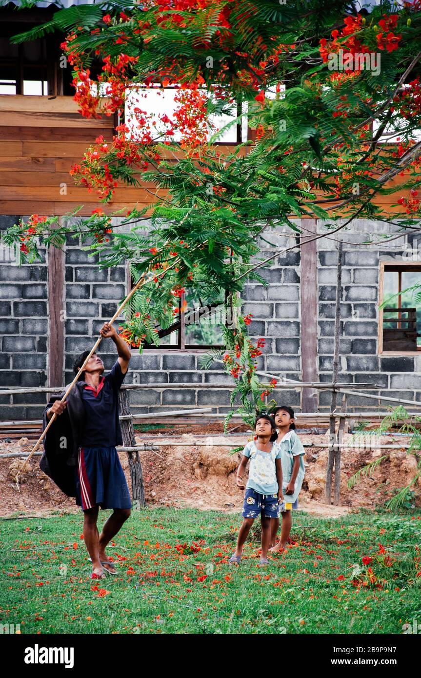 Kids playing under tree hi-res stock photography and images - Alamy