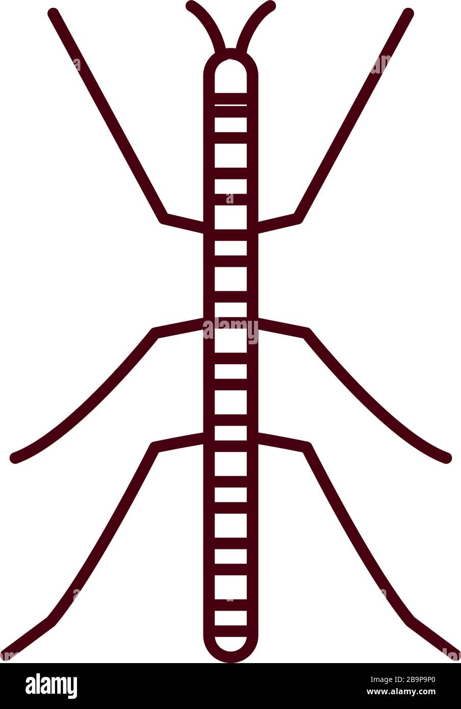 stick insect icon over white background, line style, vector ...