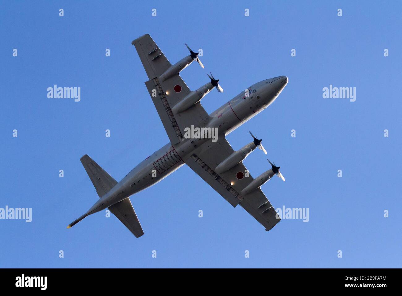 A Lockheed P-3C Orion reconnaissance aircraft with Fleet Air-wing 4 of ...