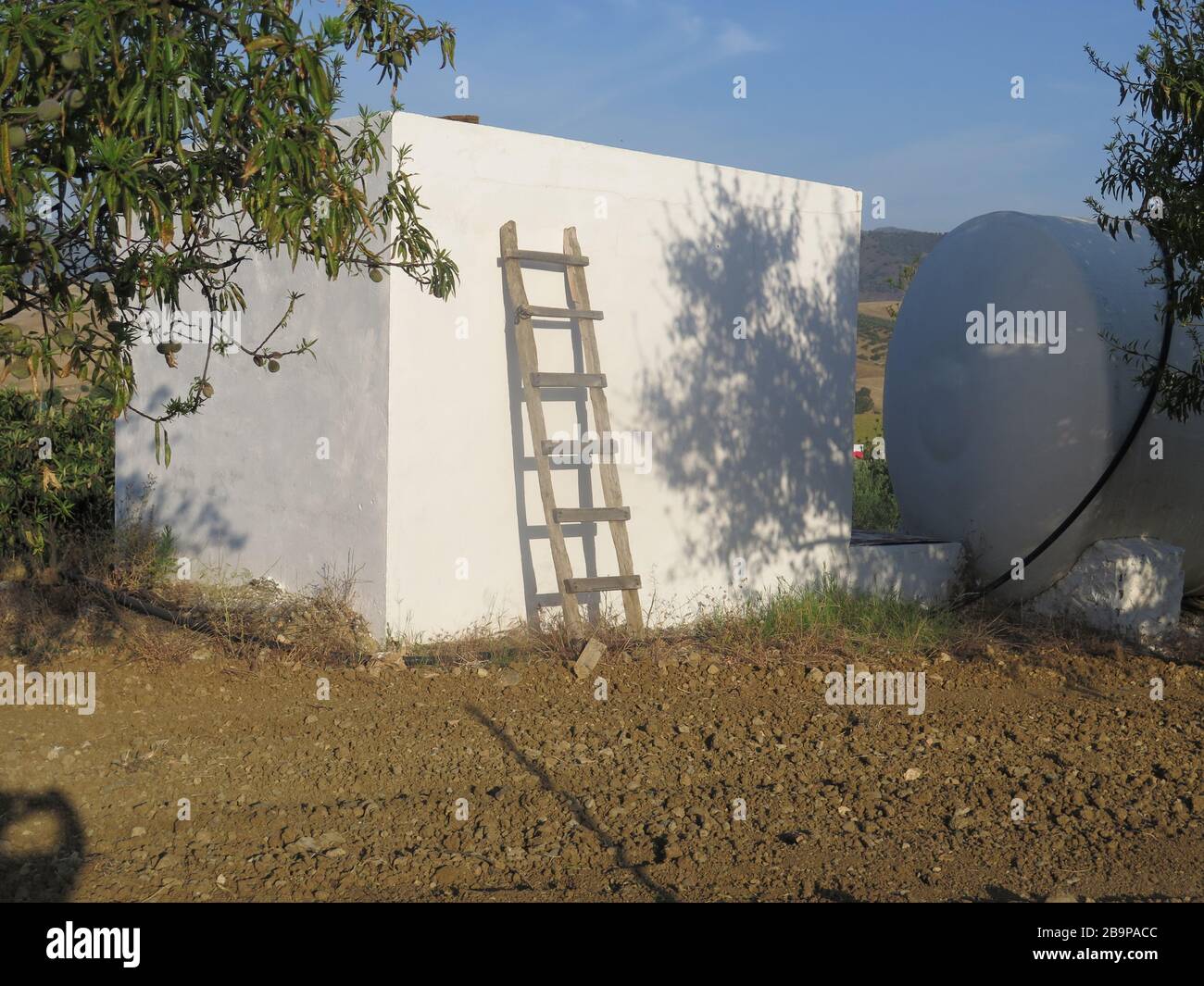 Ladder leaning against tree hi-res stock photography and images - Alamy