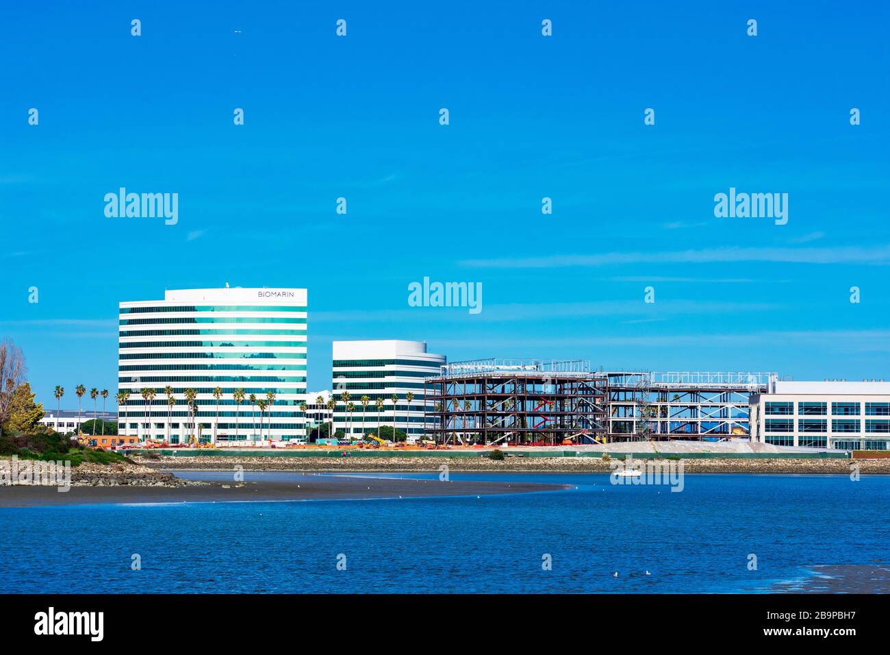 BioMarin Pharmaceutical biotechnology company campus and extension ...