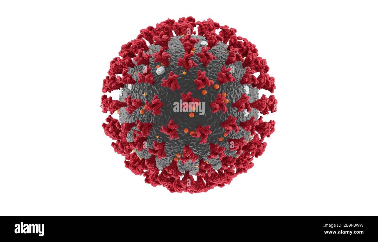 Coronavirus 3d rendering medical illustration with complete surface ...