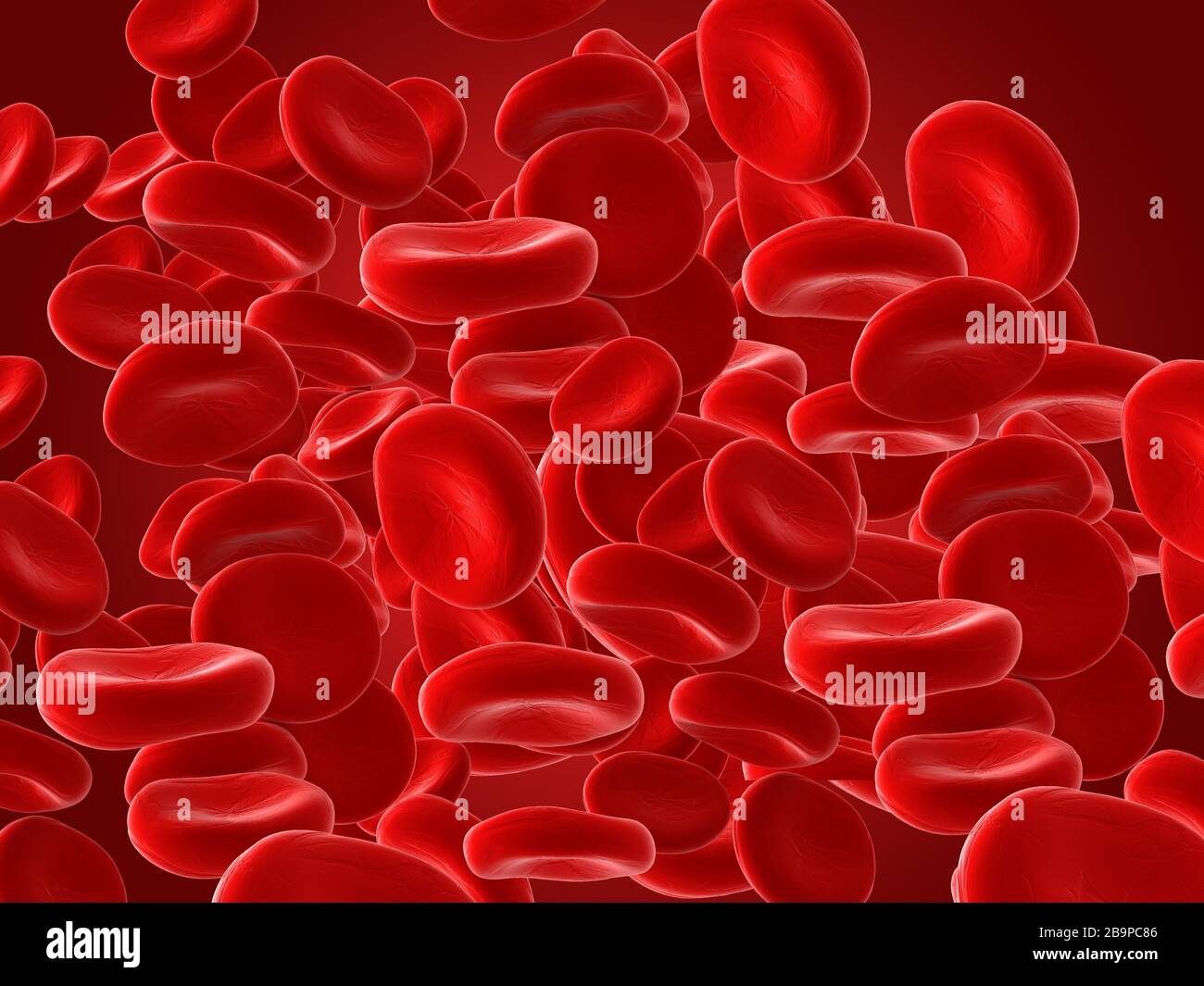 multiple red blood cells Stock Photo - Alamy