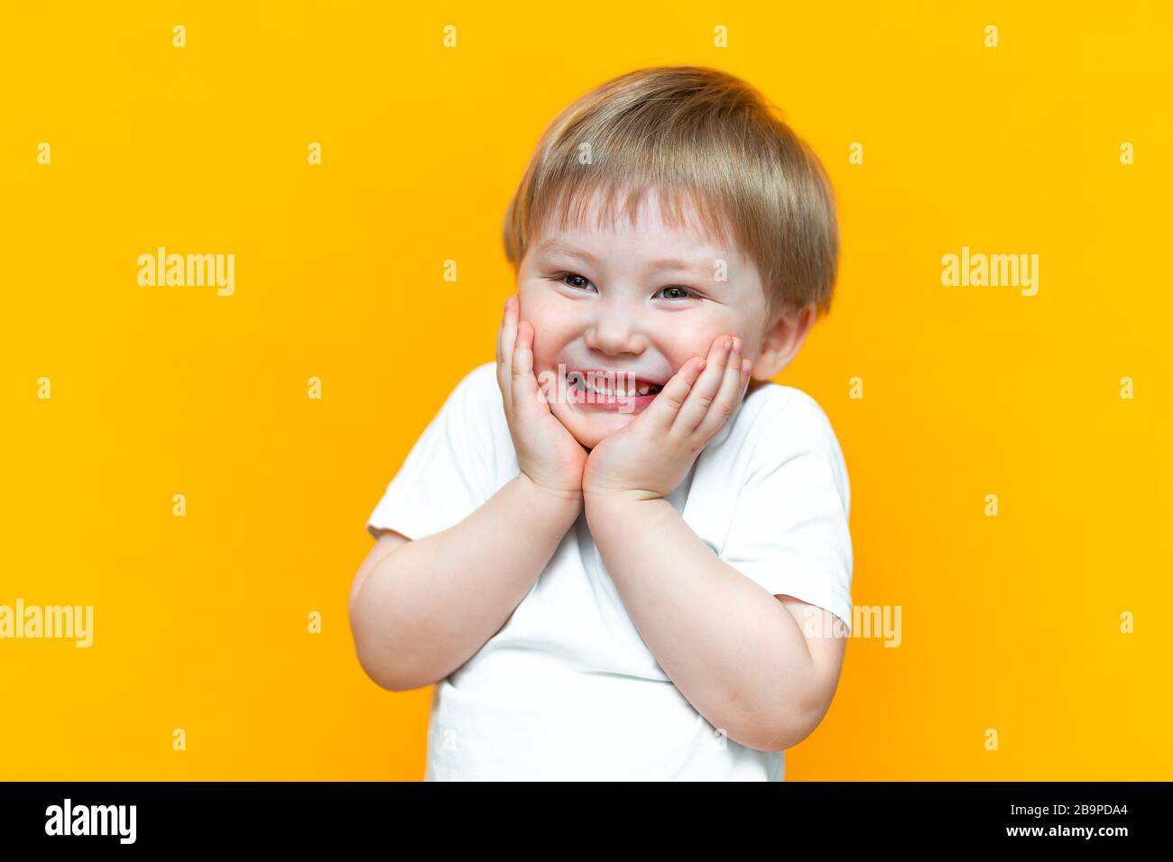 portrait of cheerful little boy child three years old, standing ...