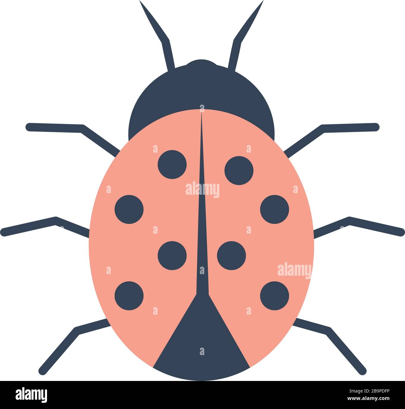 ladybug insect icon over white background, flat style, vector ...