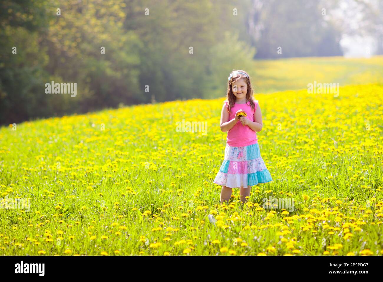 Kids play in yellow dandelion field. Child picking summer flowers ...