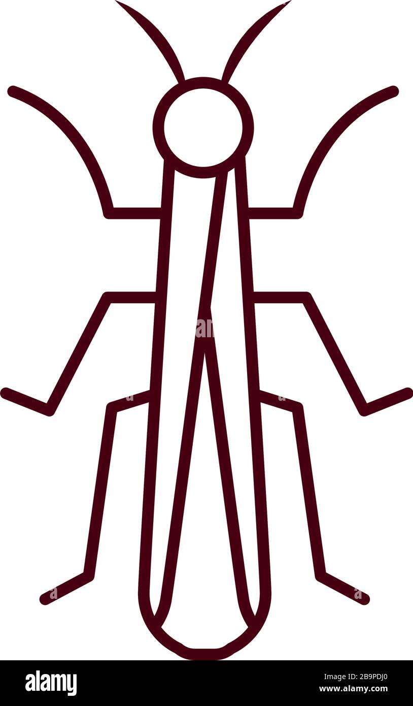 Walking Stick Insect Icon Over White Background Line Style Vector Illustration Stock Vector