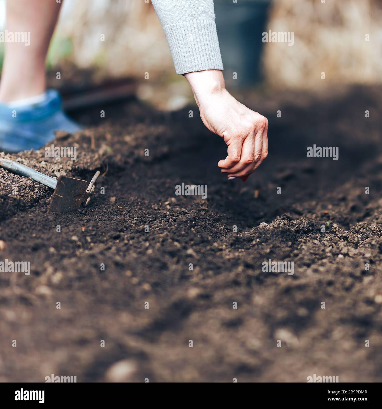 Hand in soil hi-res stock photography and images - Alamy