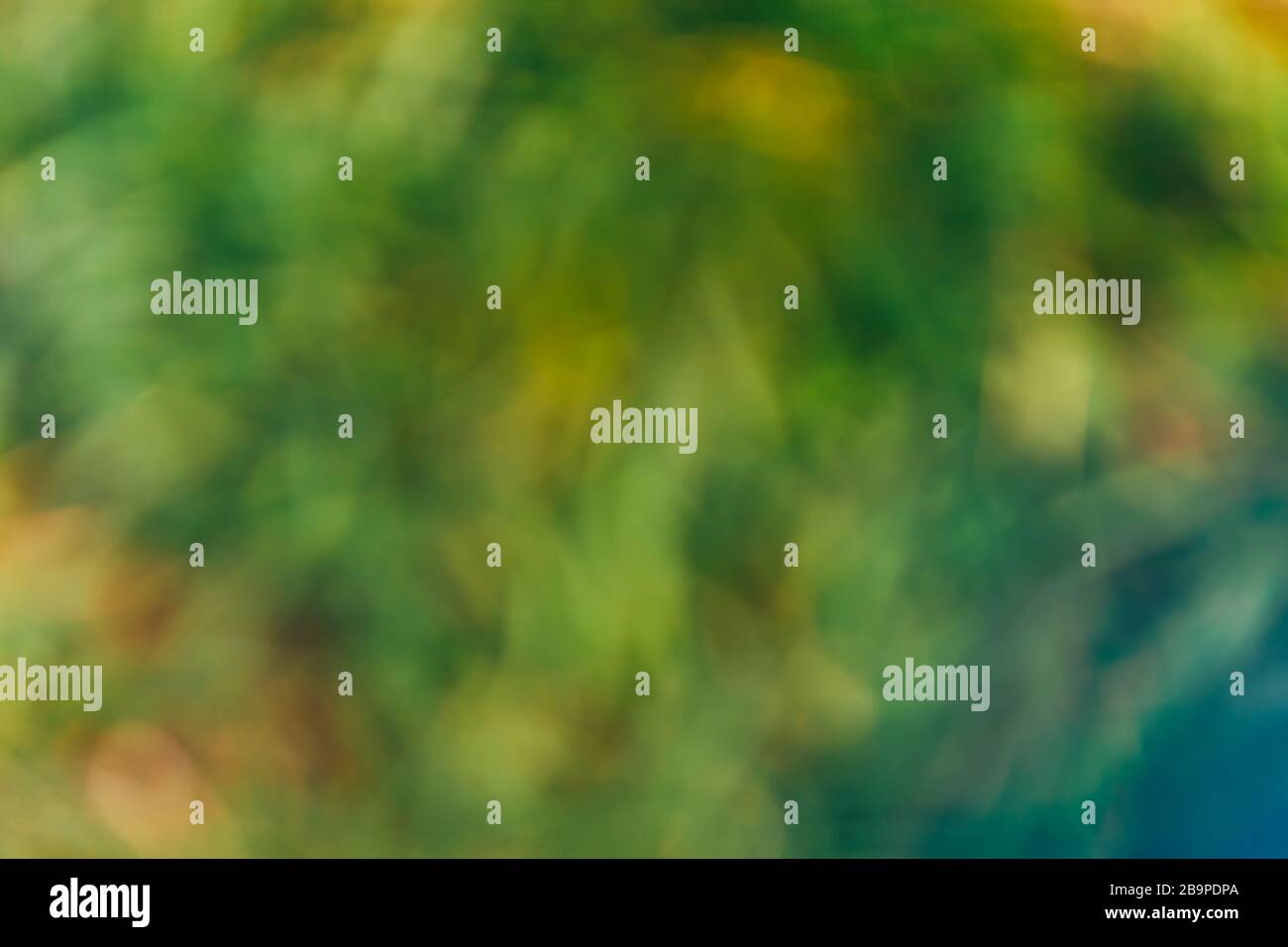Sunny abstract green nature background of grass, blurred background ...