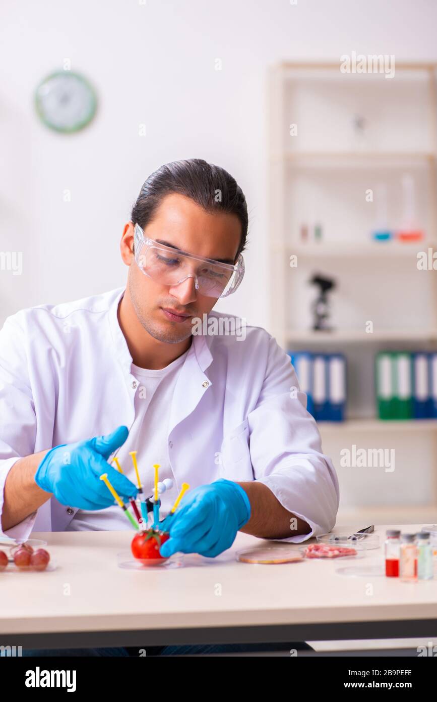 Young nutrition expert testing food products in lab Stock Photo - Alamy