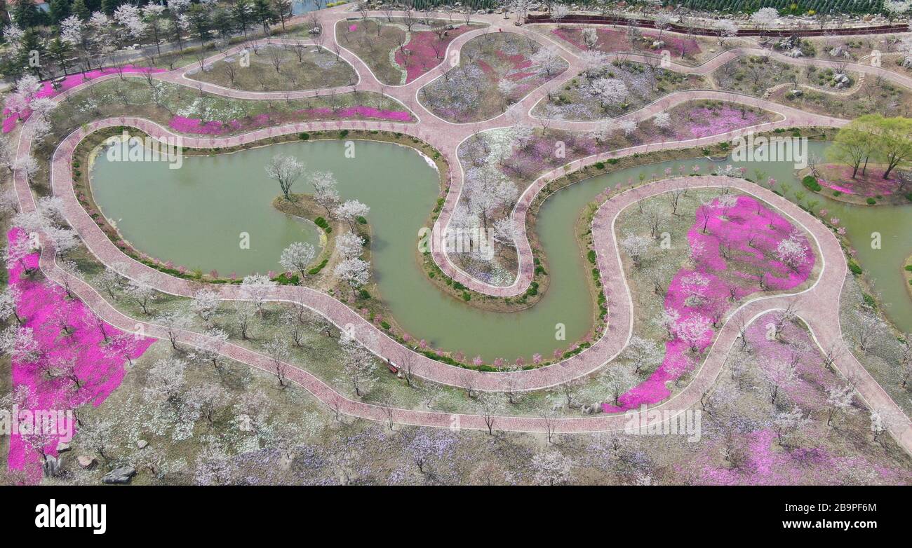 Nantong, China. 24th March, 2020. Aerial view of intercontinental ...