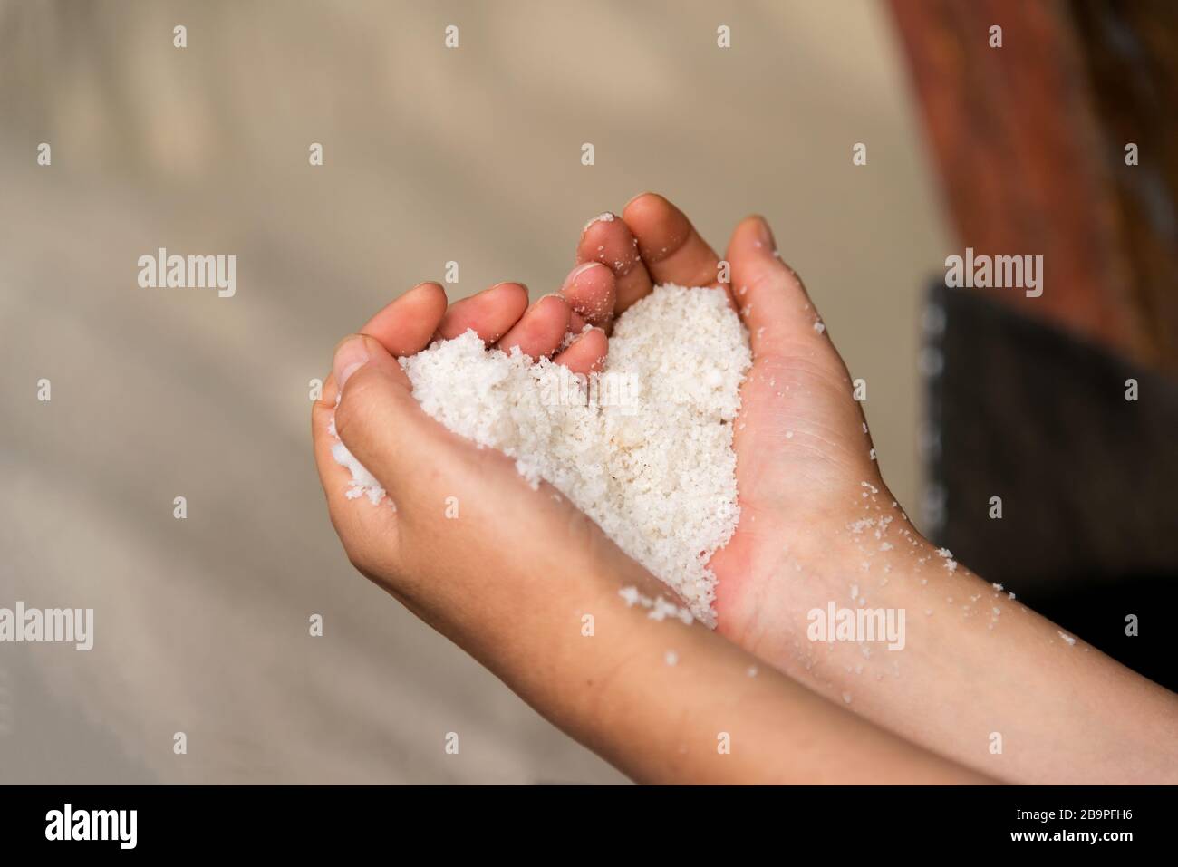 Human hands holding crystals of freshly harvested sea salt Stock Photo ...