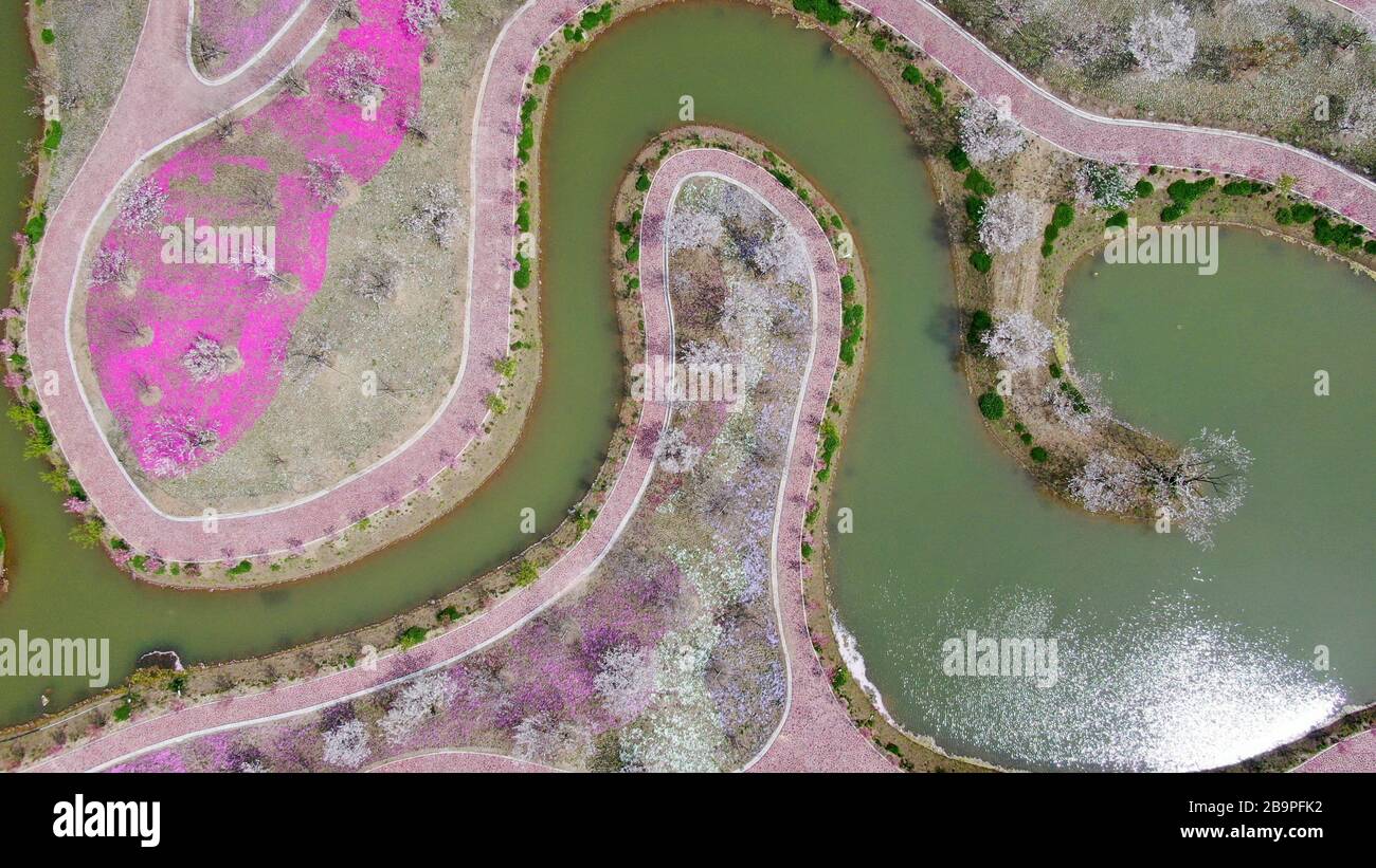 Nantong, China. 24th March, 2020. Aerial view of intercontinental ...