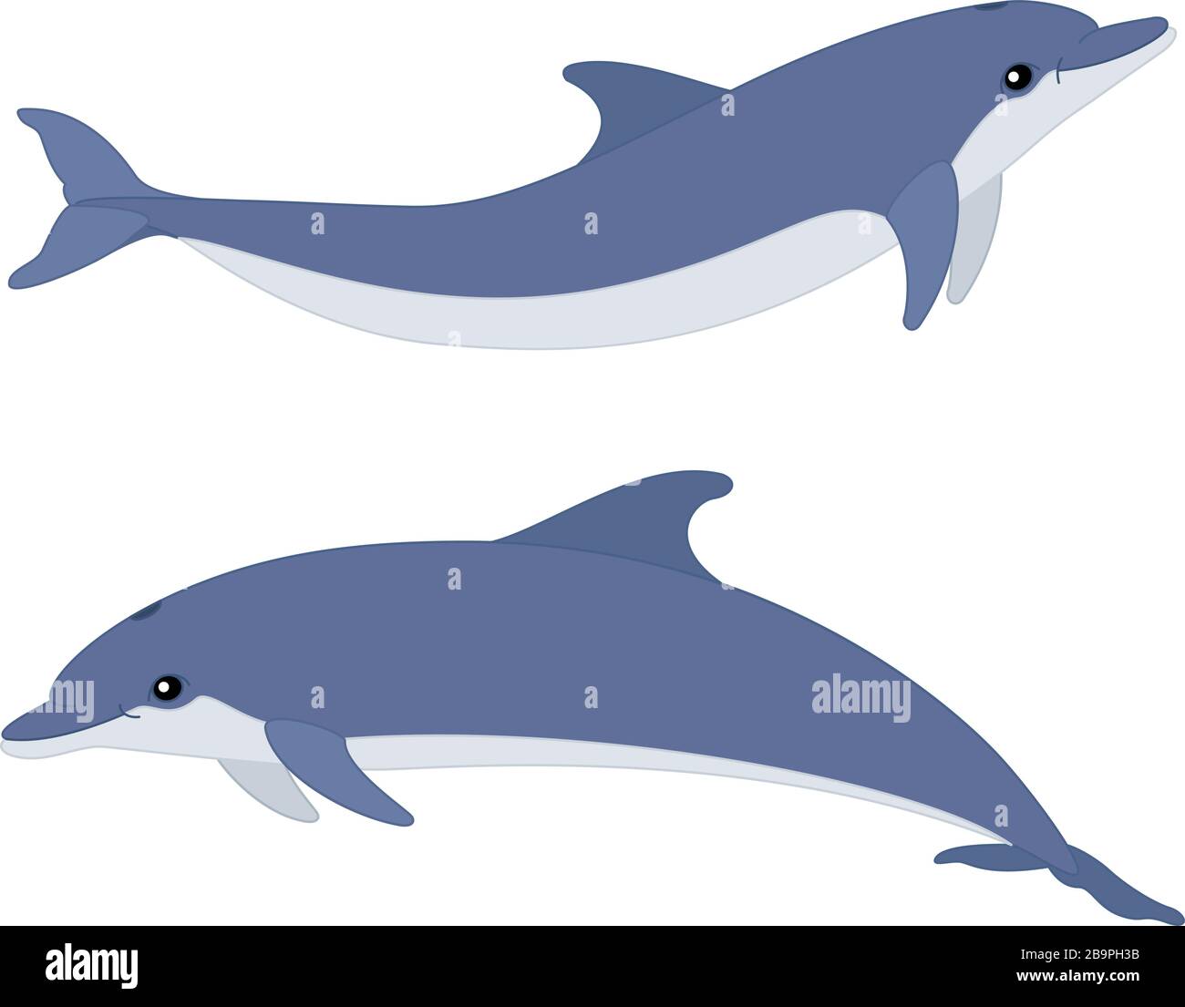 vector cartoon animal clip art bottlenose dolphins Stock Vector Image ...