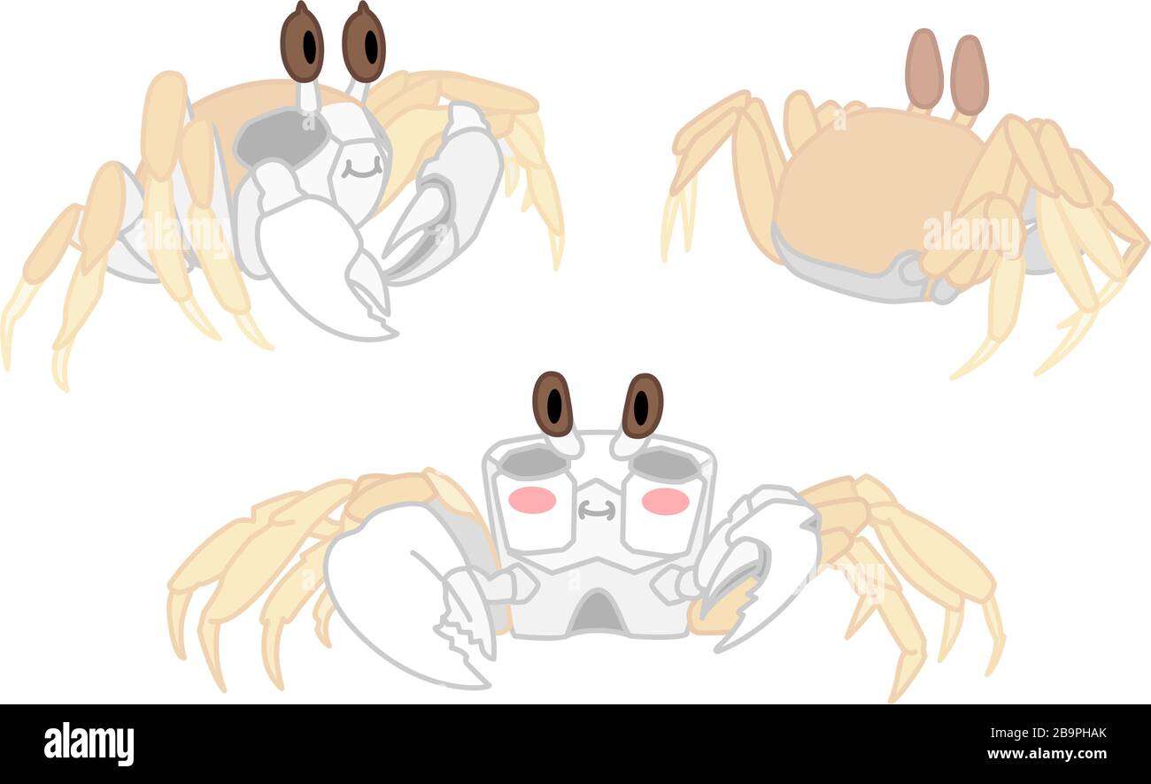 Ghost Crab Drawing