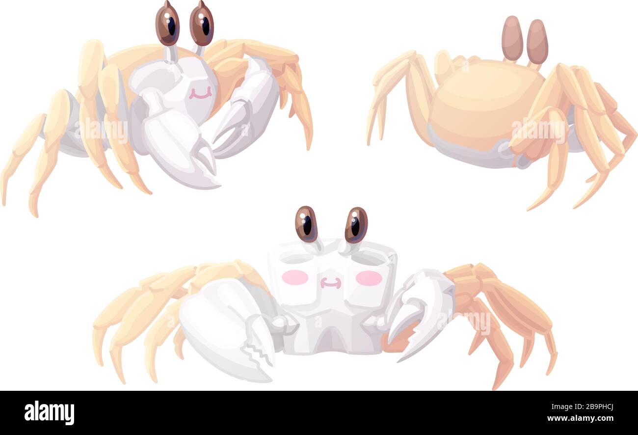 The atlantic ghost crab Stock Vector Images - Alamy