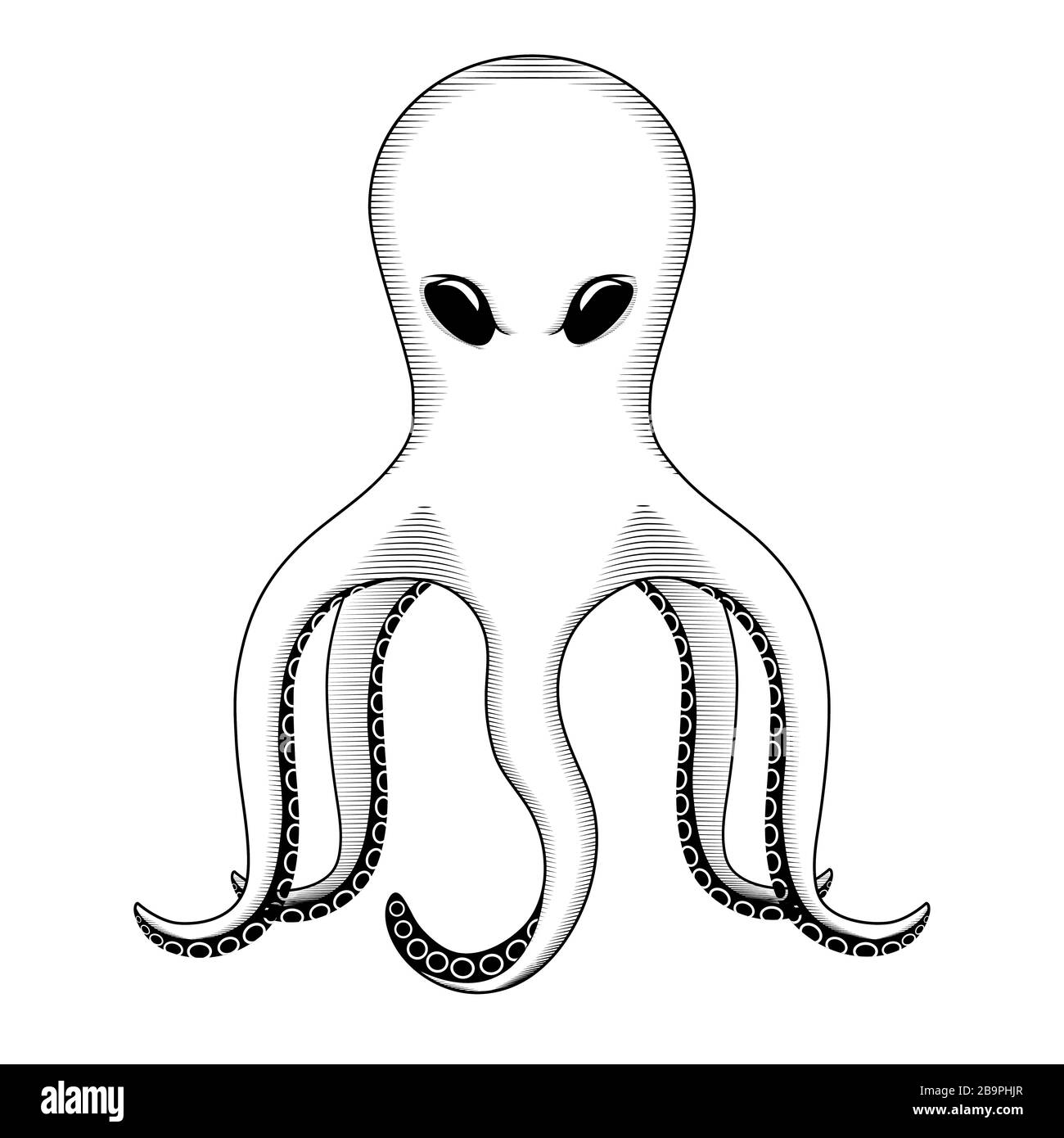 Engraving octopus Stock Vector Images - Alamy