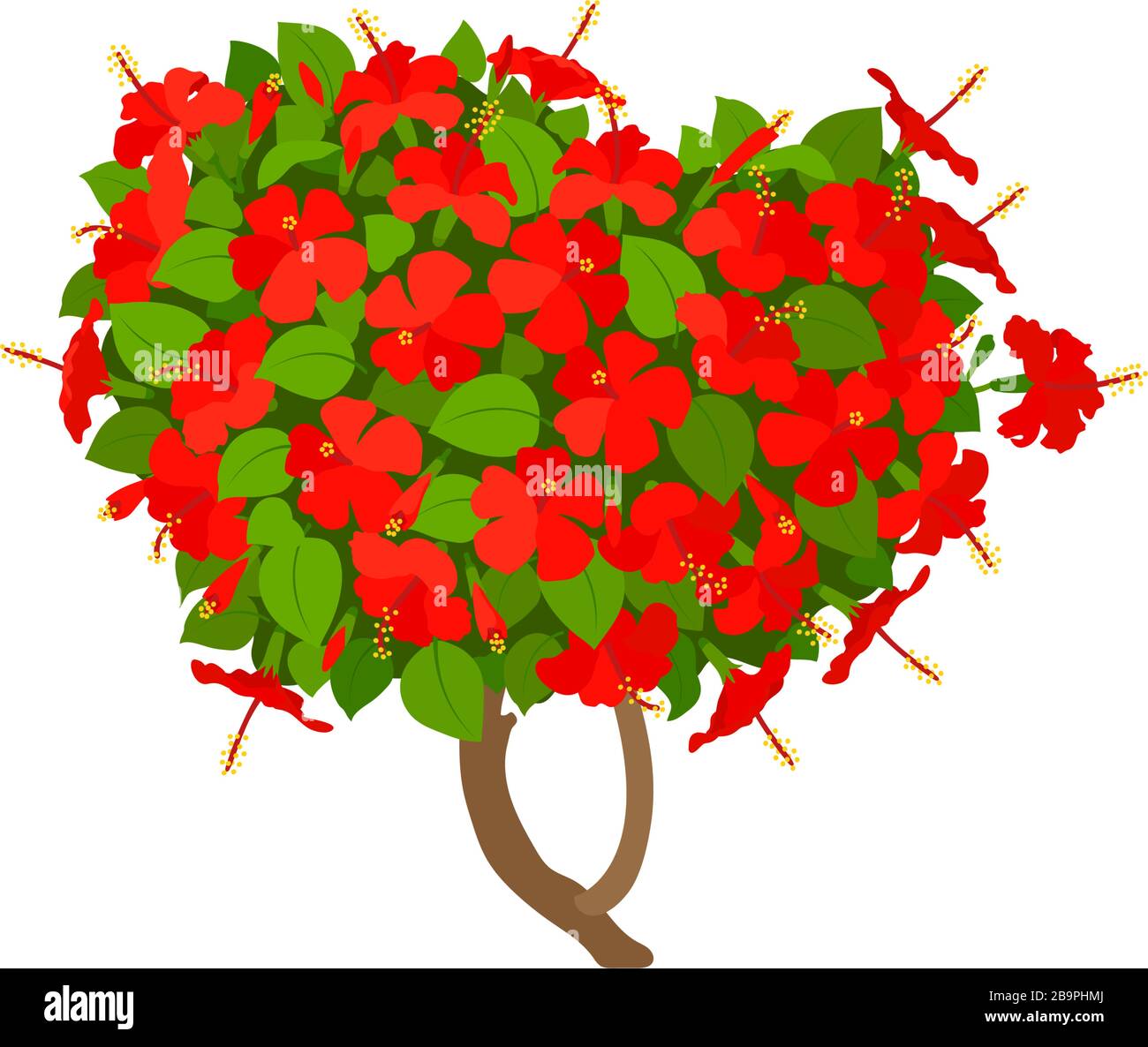 Red hibiscus bush Stock Vector Images - Alamy