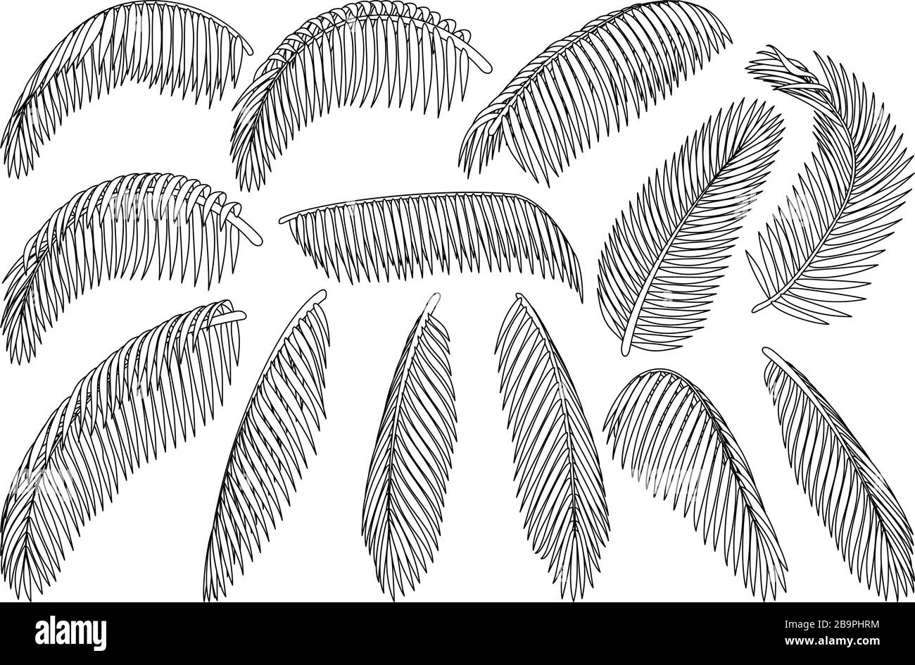 Top view beach coconut Cut Out Stock Images & Pictures - Alamy