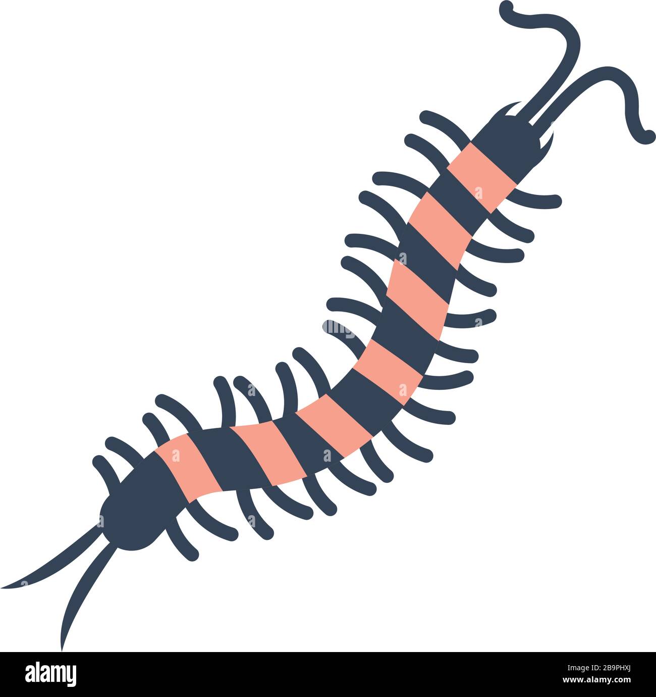 caterpiller insect icon over white background, flat style, vector ...