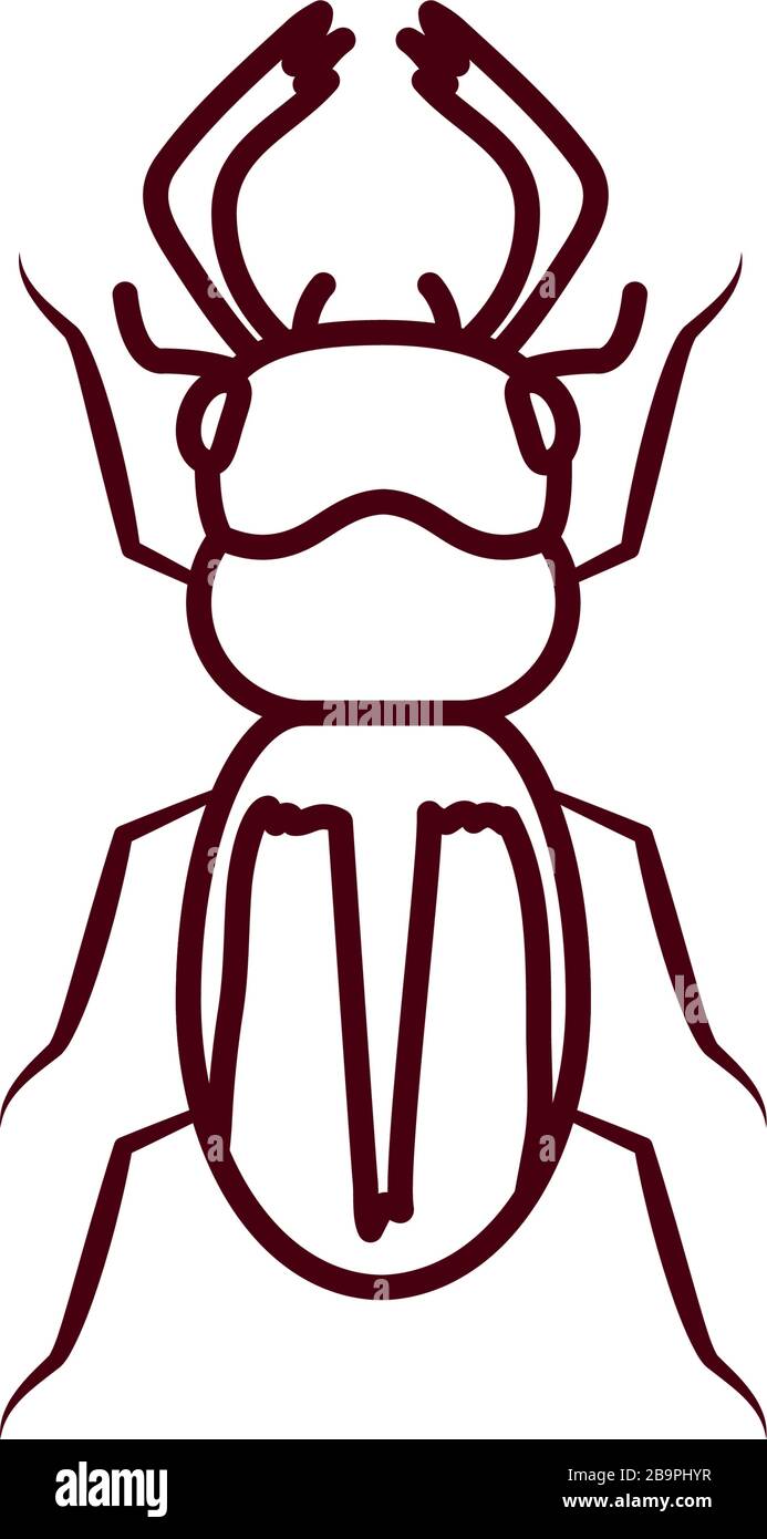 stag beetle icon over white background, line style, vector illustration ...