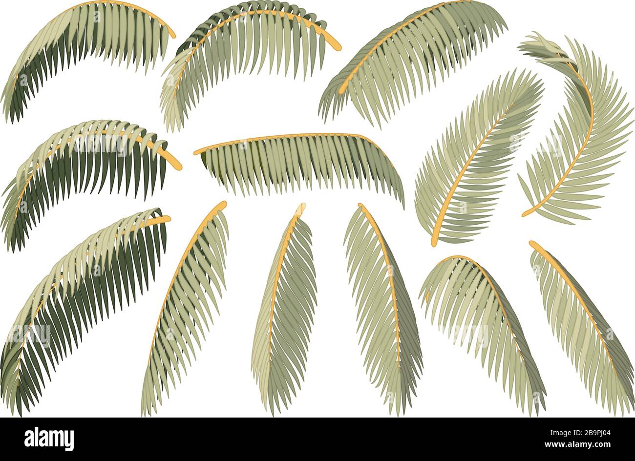 Top view beach coconut Cut Out Stock Images & Pictures - Alamy