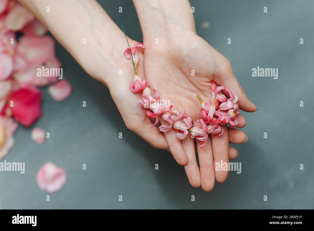 Beautiful hands flower petals hi-res stock photography and images - Alamy