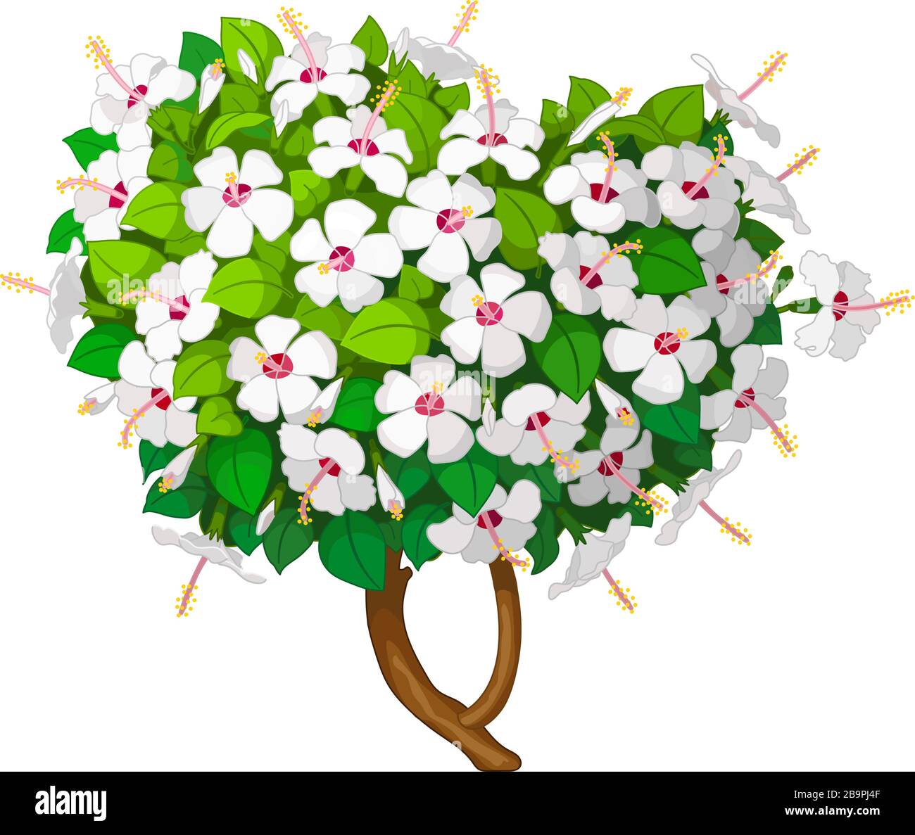 vector handdrawn plant clipart Hibiscus garden bush Stock Vector Image ...