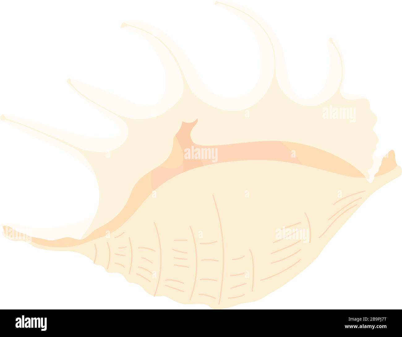 vector sea beach object clip art. Shell, seashell Stock Vector Image ...