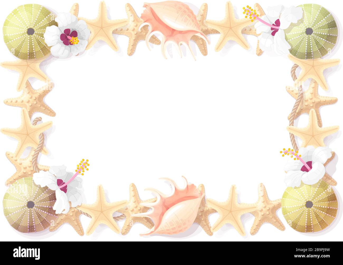 vector tropical seashell frame clip art. Geometric pattern Stock Vector ...