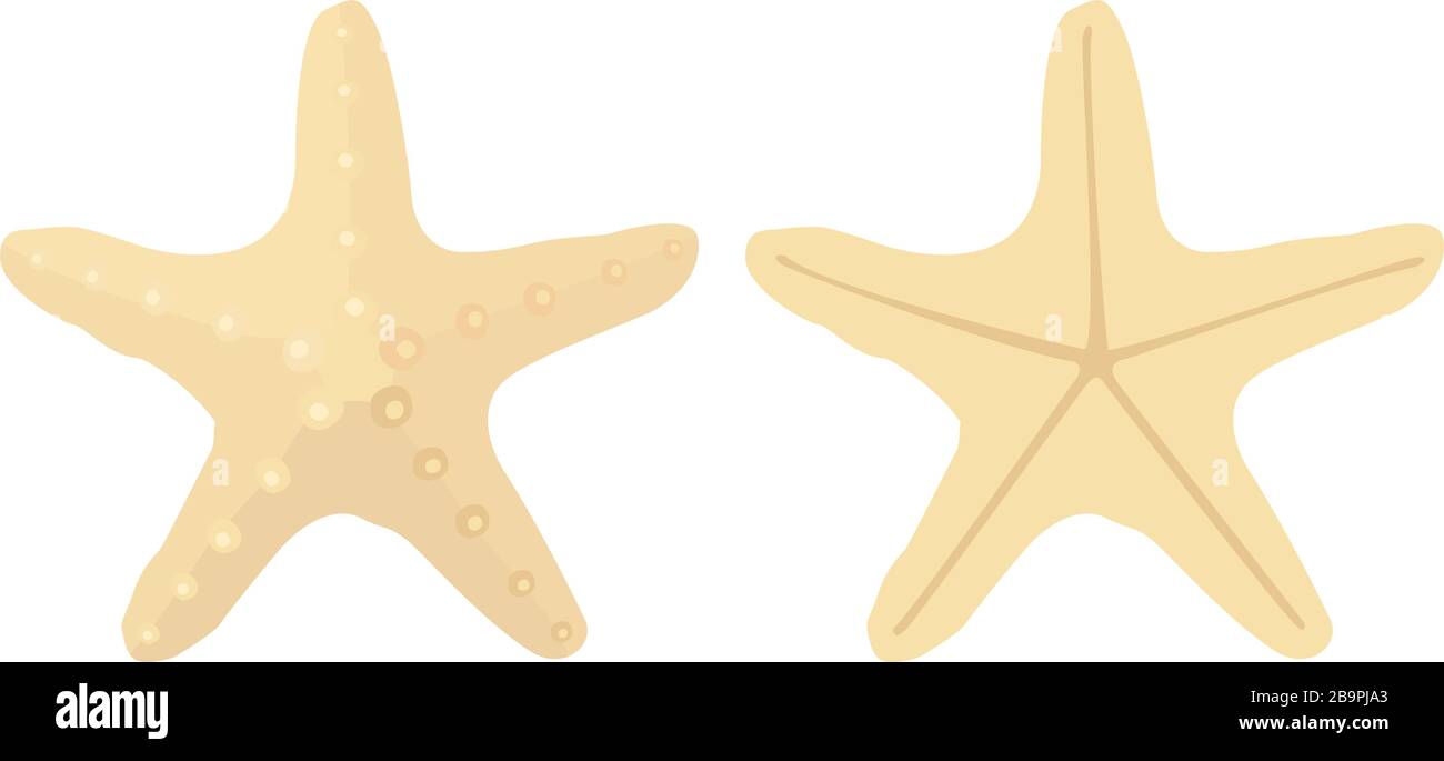 Starfish Beach Clip Art
