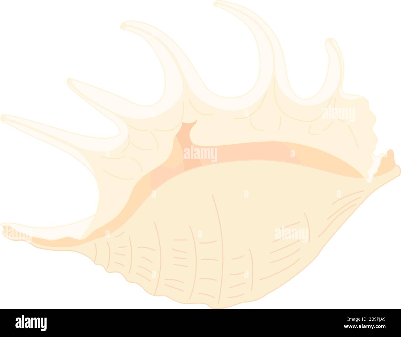 vector sea beach object clip art. Shell, seashell Stock Vector Image ...