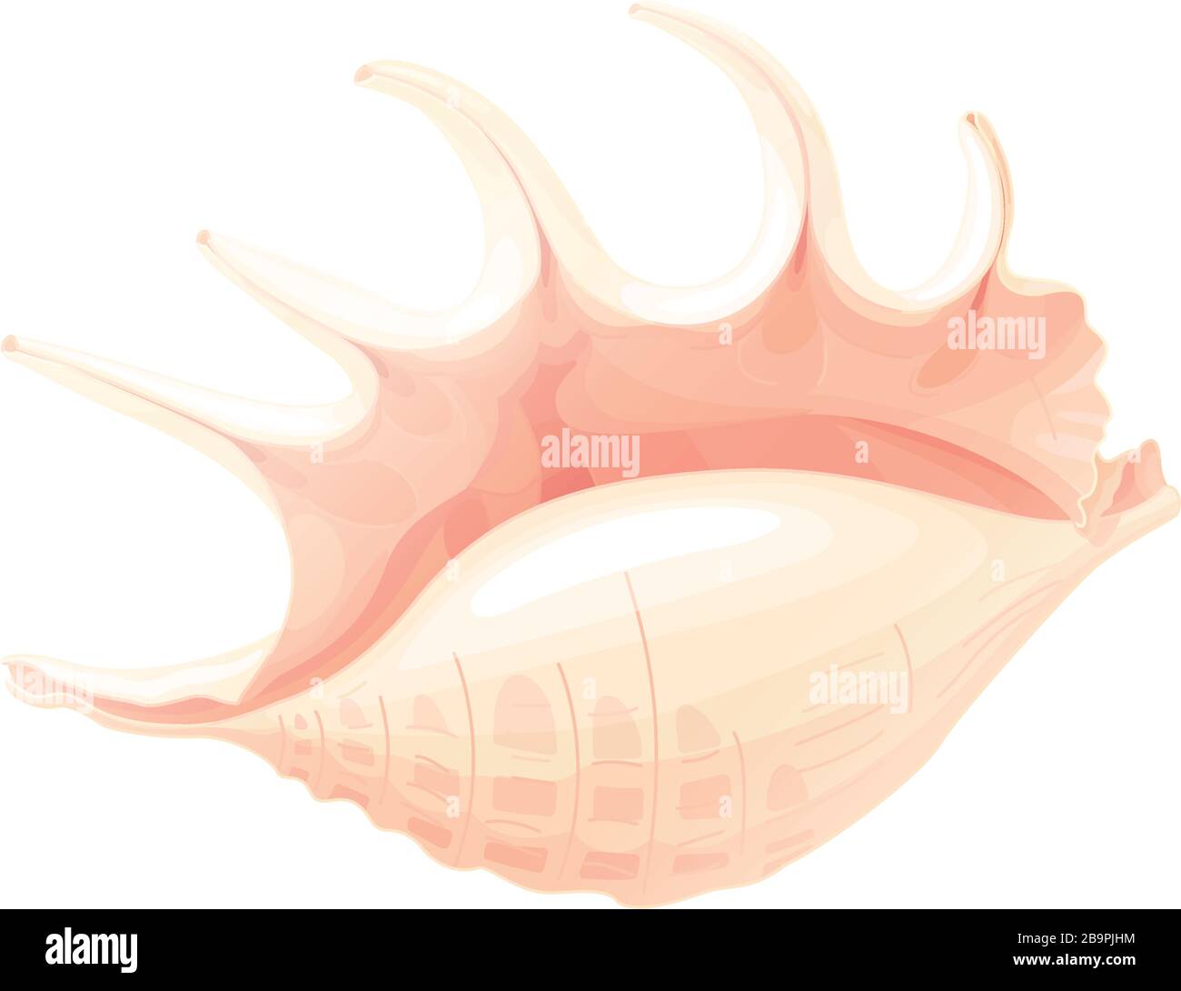 vector sea beach object clip art. Shell, seashell Stock Vector Image ...
