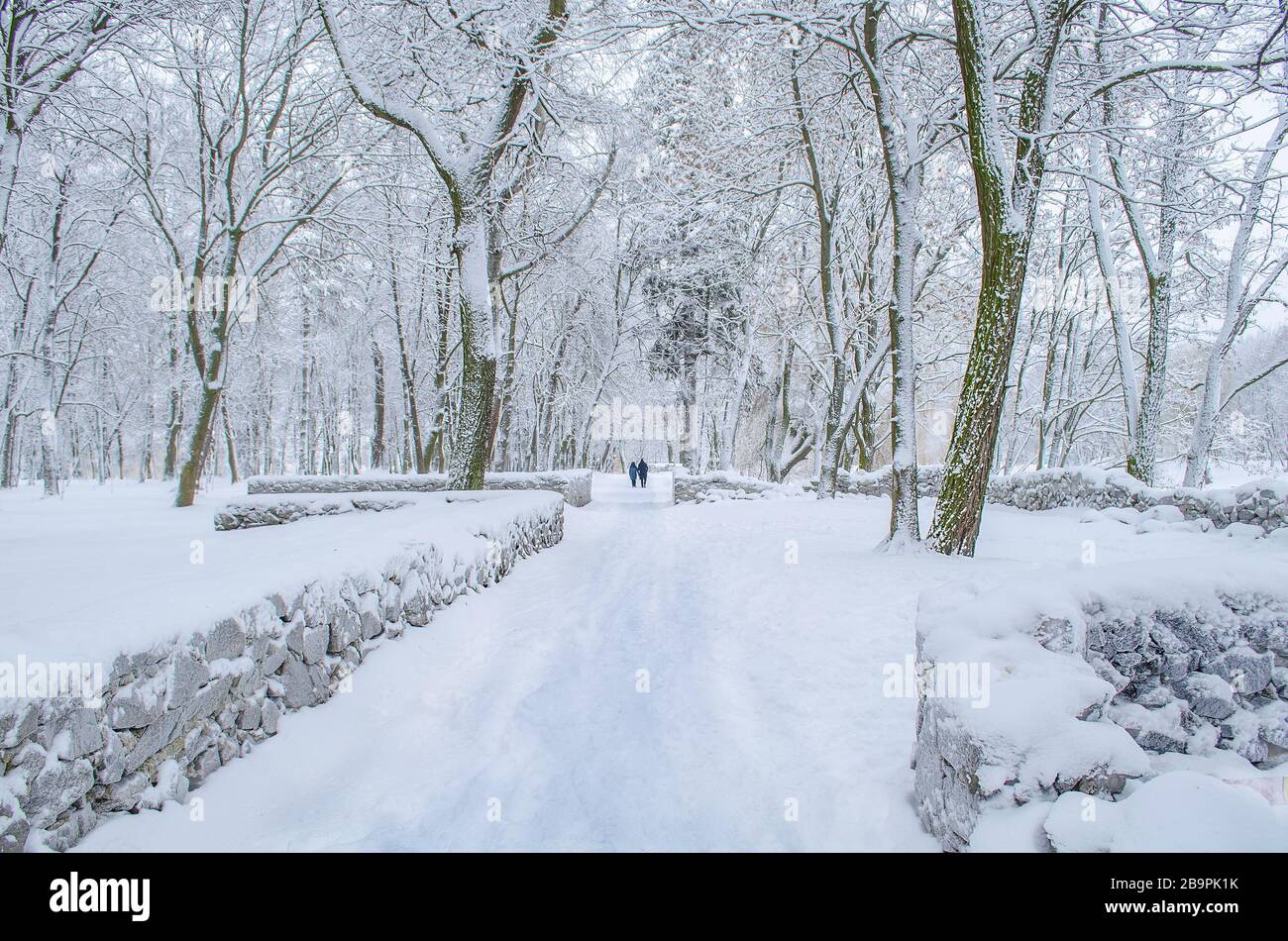 Winter landscape with old stone rock. Ancient ruins in a beautiful old ...