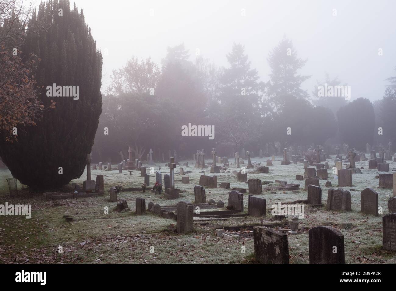Mist cemetery hi-res stock photography and images - Alamy