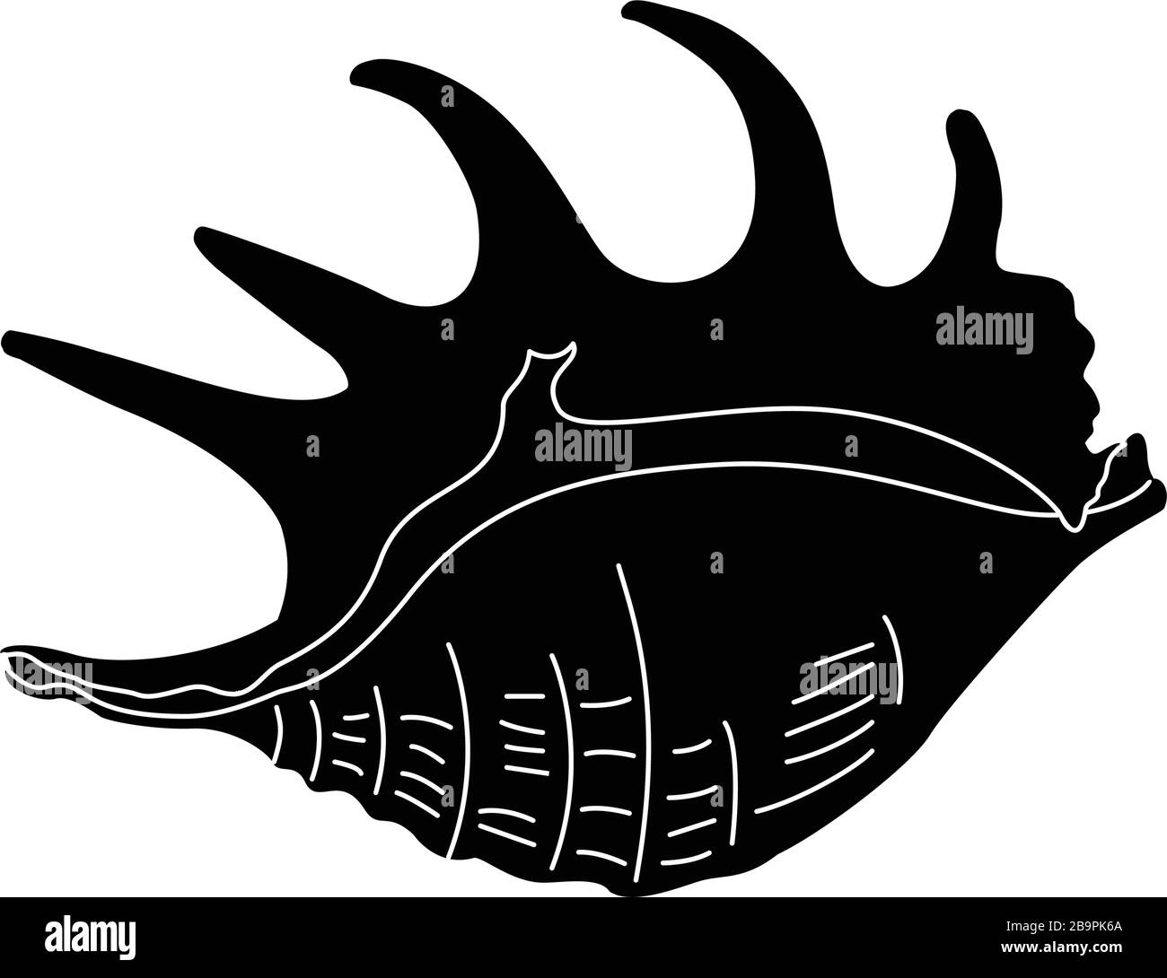vector sea beach object clip art. Shell, seashell Stock Vector Image ...