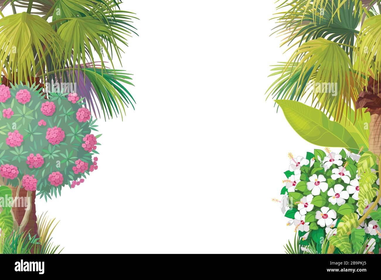 Summer Page Borders Clip Art