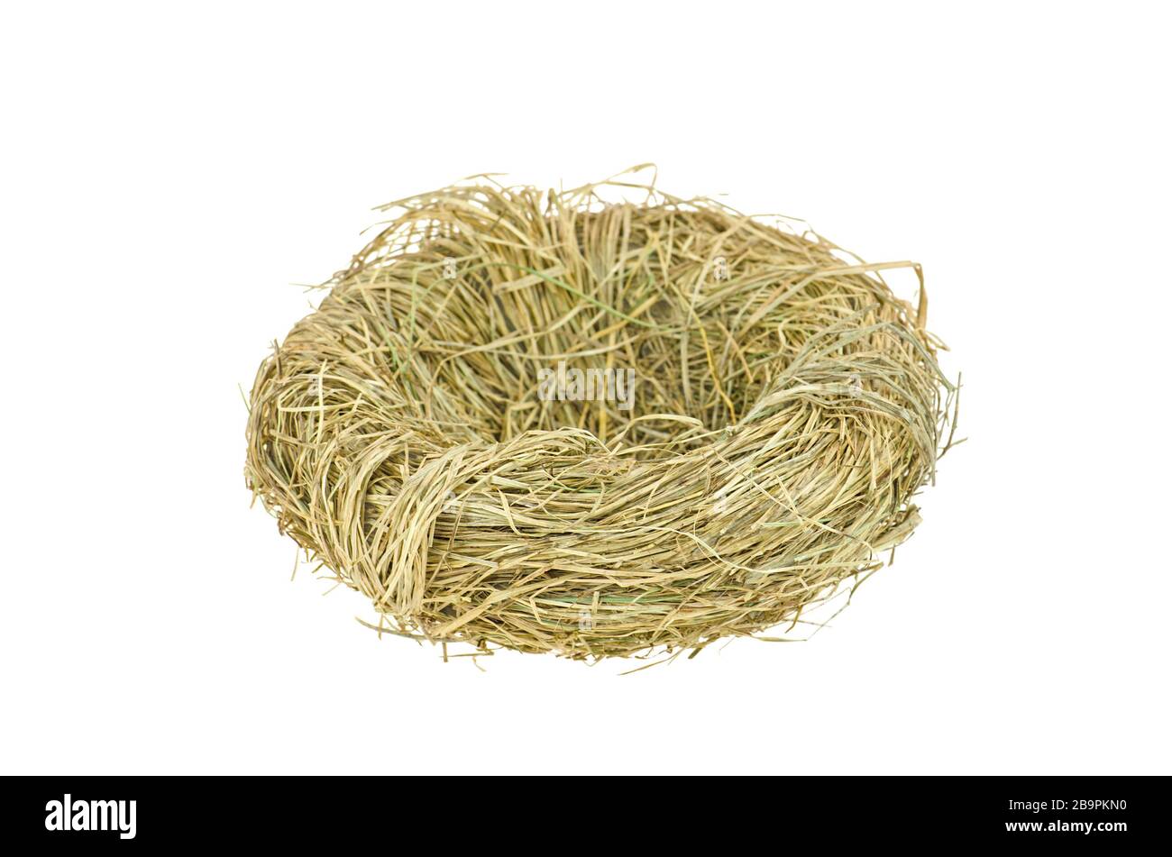 Birds nest on a white background. Nest of straw isolated on white ...