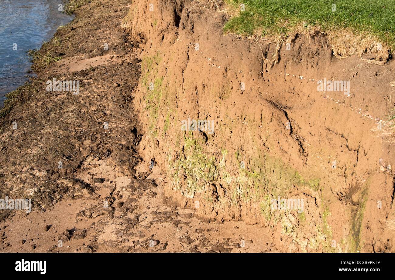 Soft soil river bank background Stock Photo - Alamy