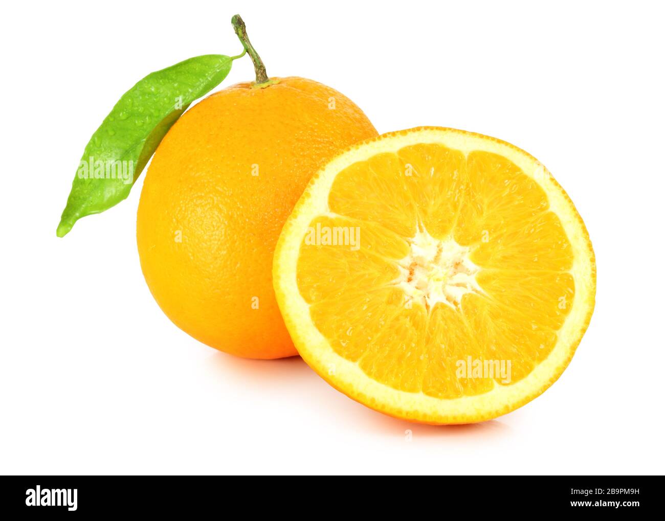 Schnitt auf weißem hintergrund hi-res stock photography and images - Alamy