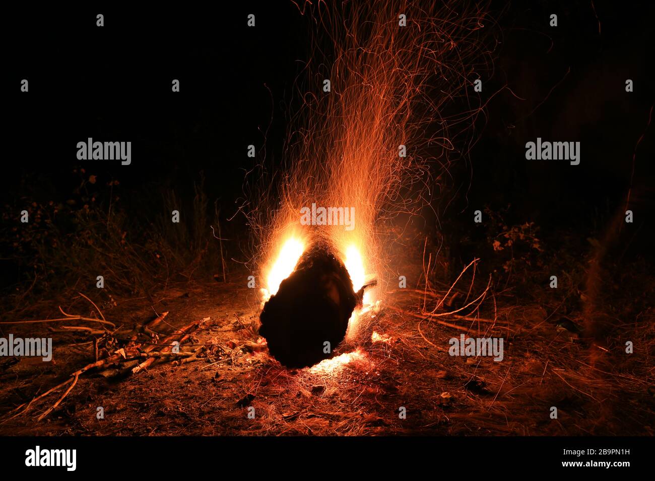burning log in the night forest with traces of flying sparks Stock ...
