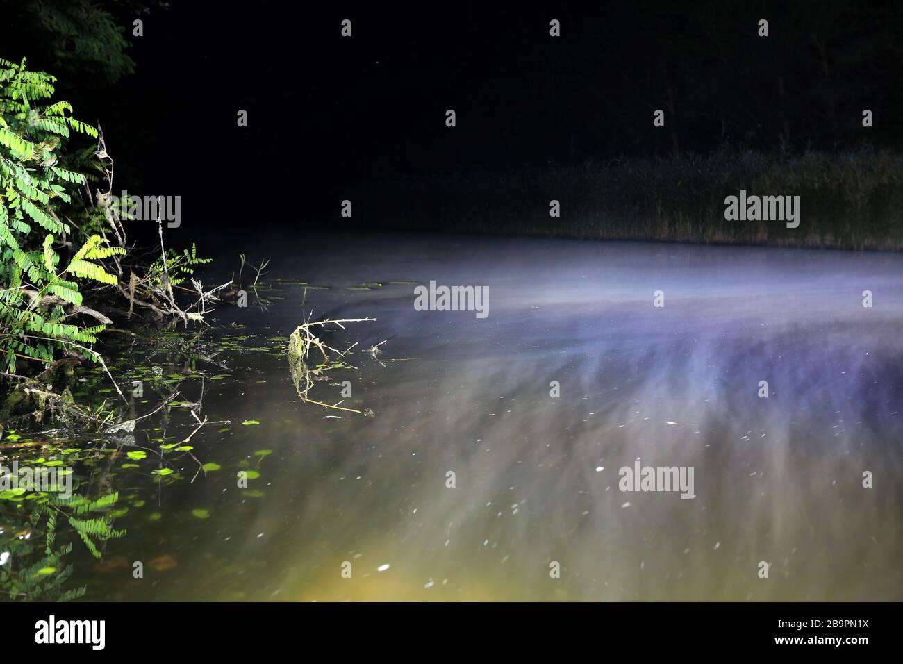 mist over water in night river in summer time Stock Photo - Alamy