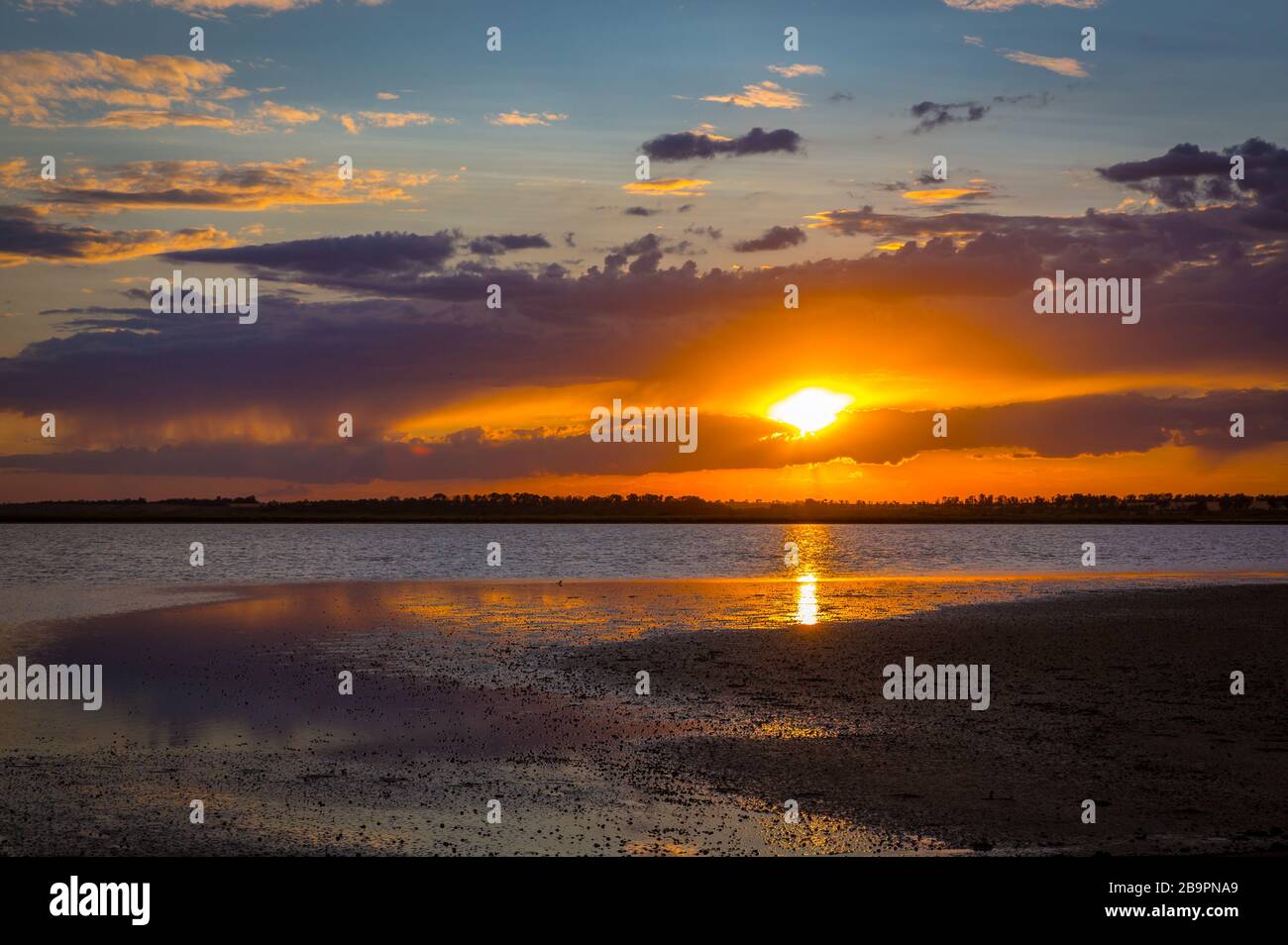 Nice sunset landscape on lake shore Stock Photo - Alamy