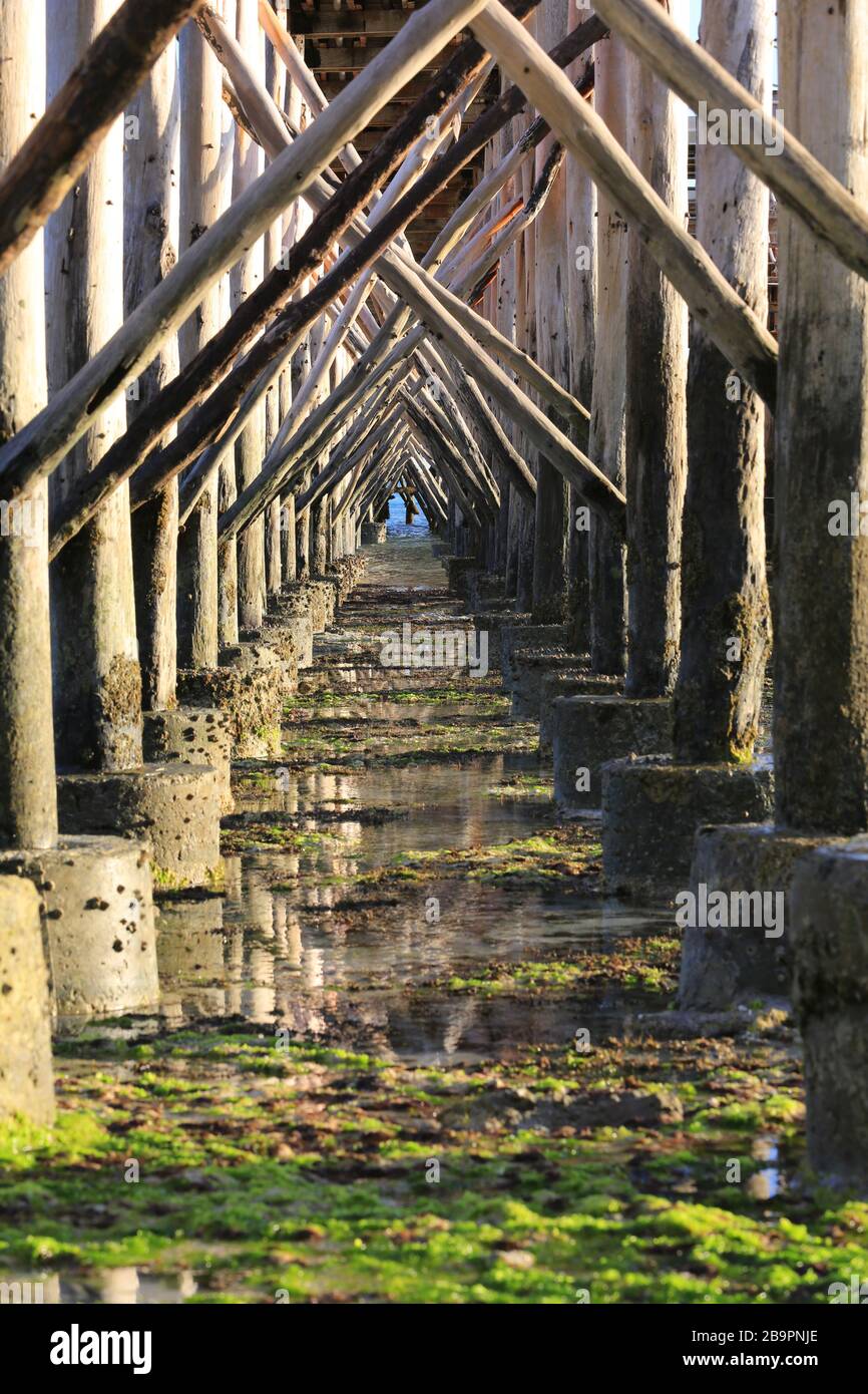 Bridge piles hi-res stock photography and images - Alamy