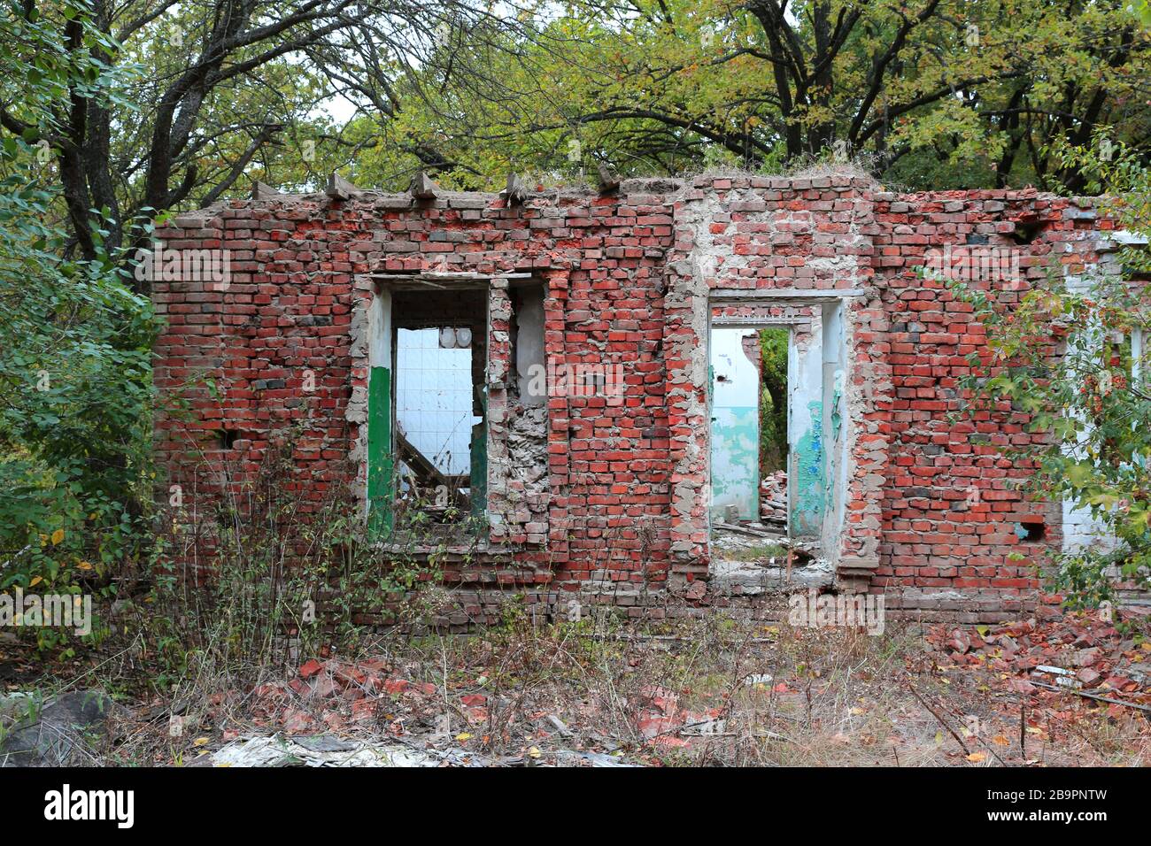 Landscape with ruins of old abandoned building in wild forest Stock ...