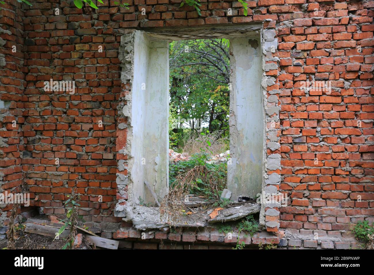 window frame of old demolition building in forest Stock Photo - Alamy