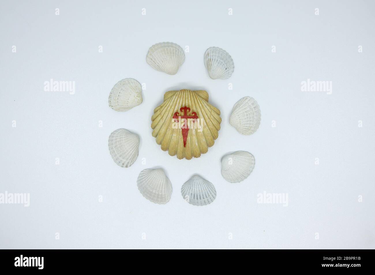 Seashell of St. James with a bloody red cross. Symbol of pilgrims. Road ...
