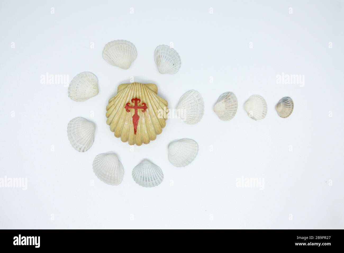 Seashell of St. James with a bloody red cross. Symbol of pilgrims. Road ...